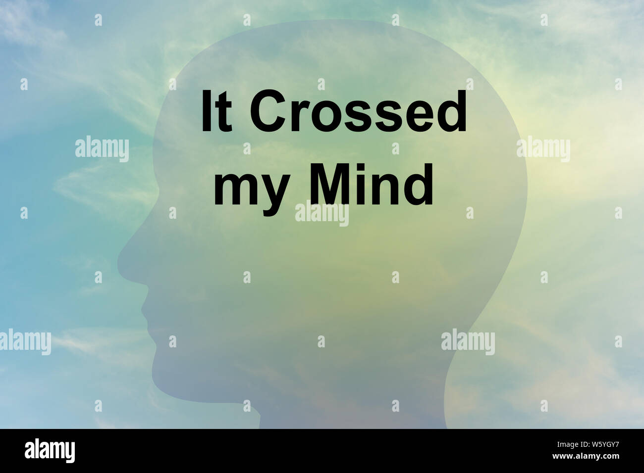 Render illustration of It Crossed my Mind script on head silhouette ...