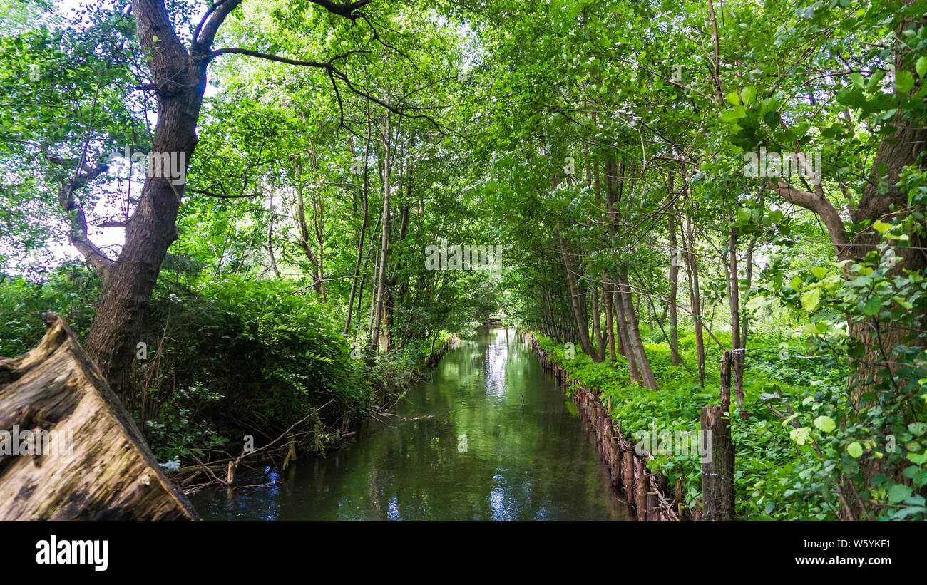 channel surrounded by trees Stock Photo - Alamy