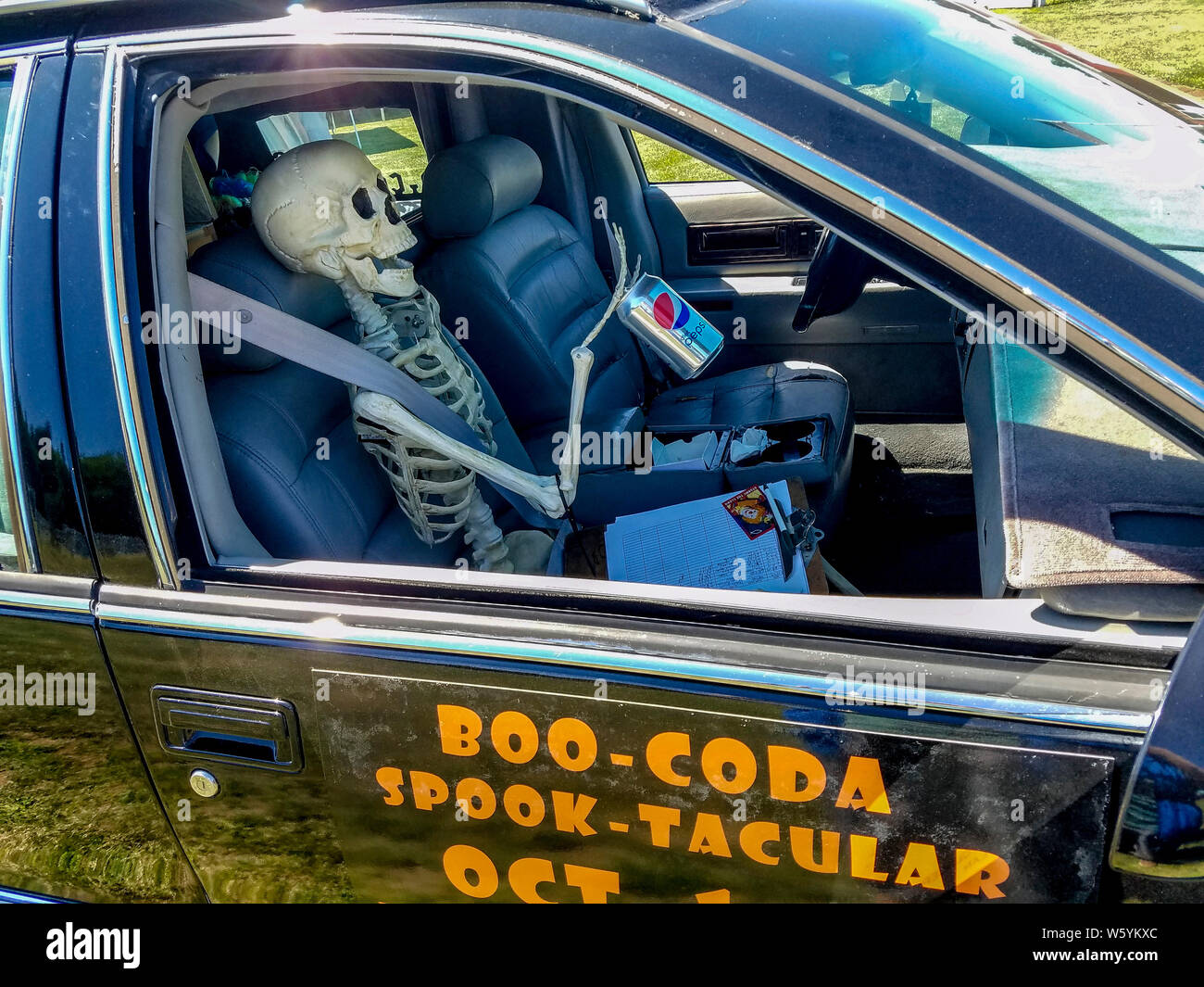 Skeleton In Car High Resolution Stock Photography and Images - Alamy