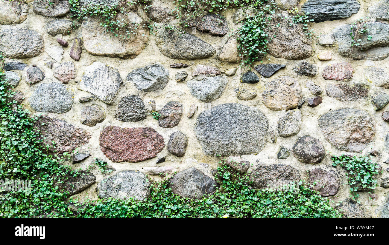 Solid texture hi-res stock photography and images - Alamy