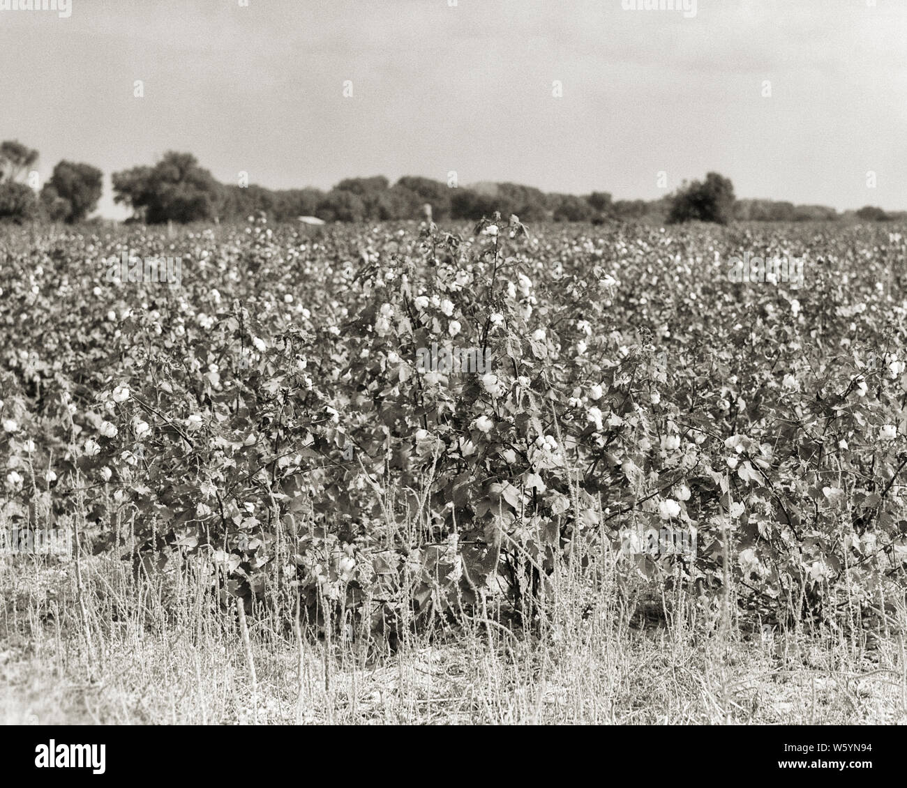 Farming usa 1930s hi-res stock photography and images - Alamy