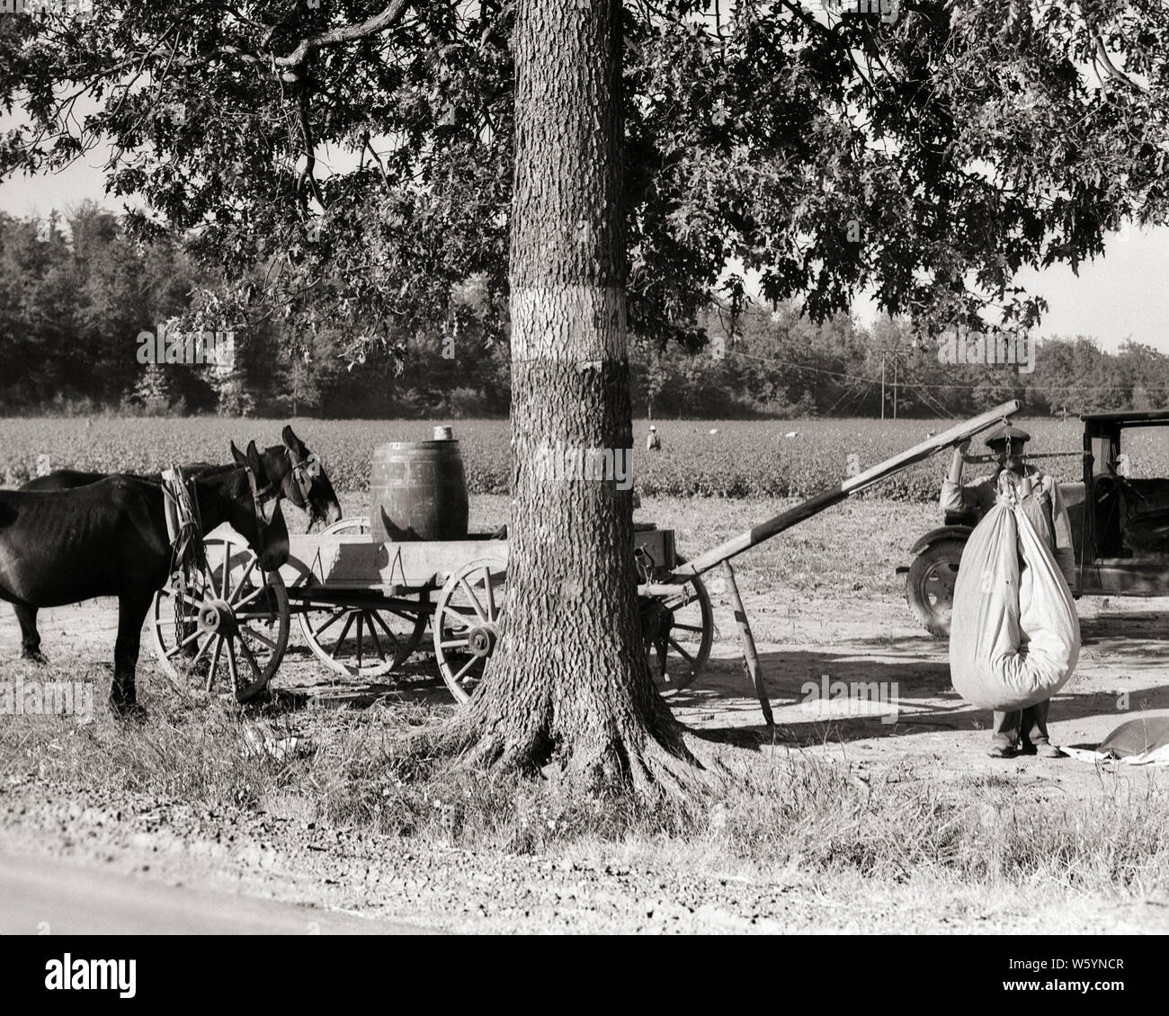 1930s african americans hi-res stock photography and images - Alamy