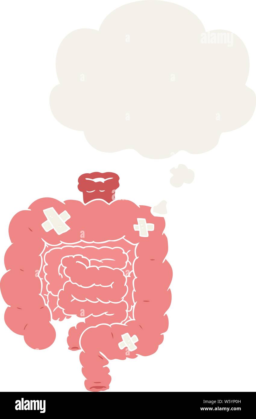 cartoon repaired intestines with thought bubble in retro style Stock ...