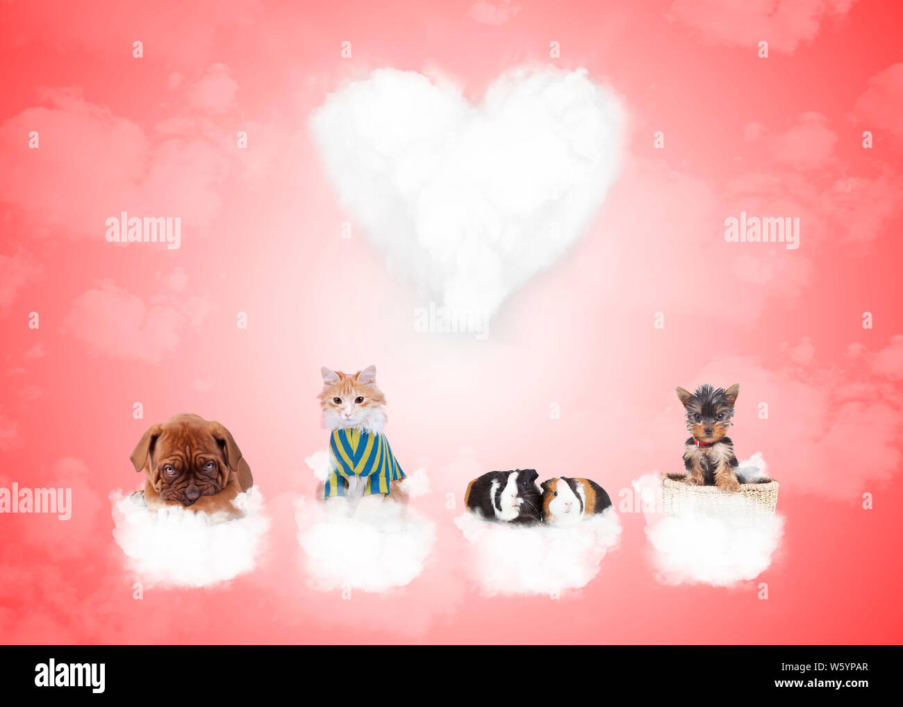 group of cute animals on love clouds celebrating valentine's day Stock ...