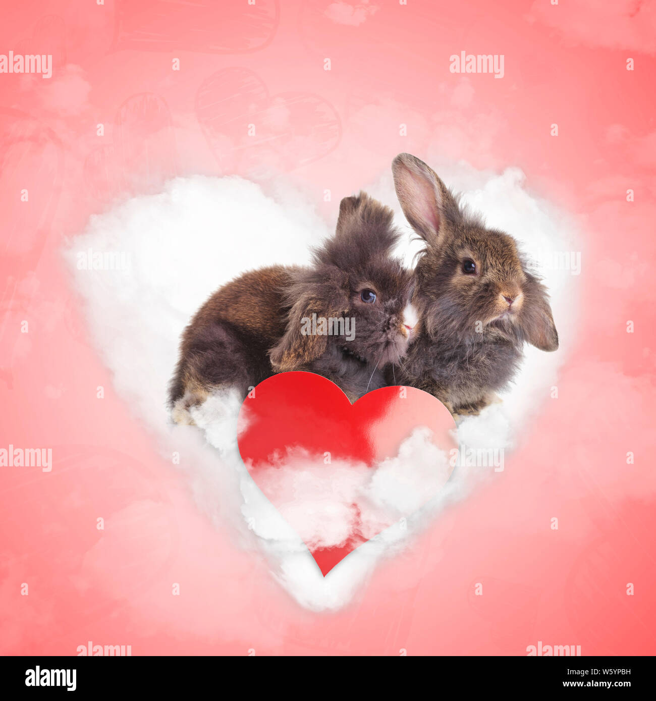 Affectionate bunnies hi-res stock photography and images - Alamy