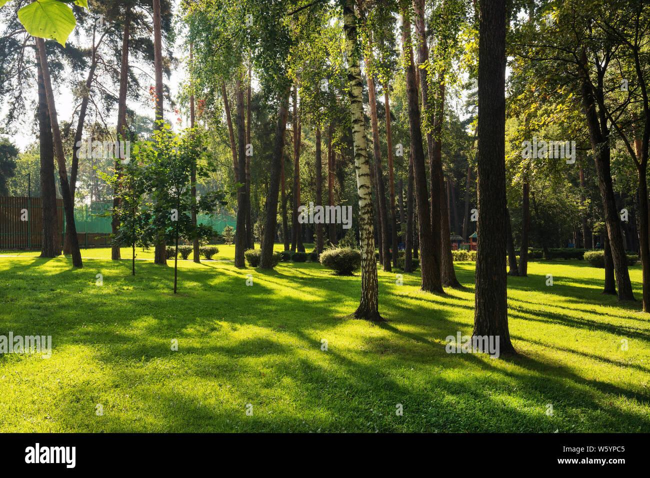 Chicago greenery hi-res stock photography and images - Alamy