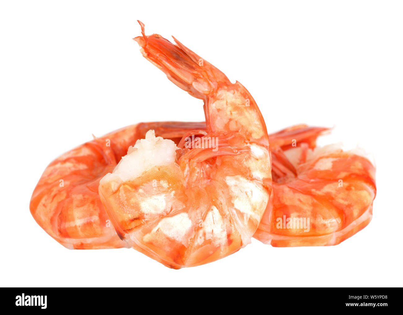 three Shrimp Prawn isolated on a white background Stock Photo - Alamy