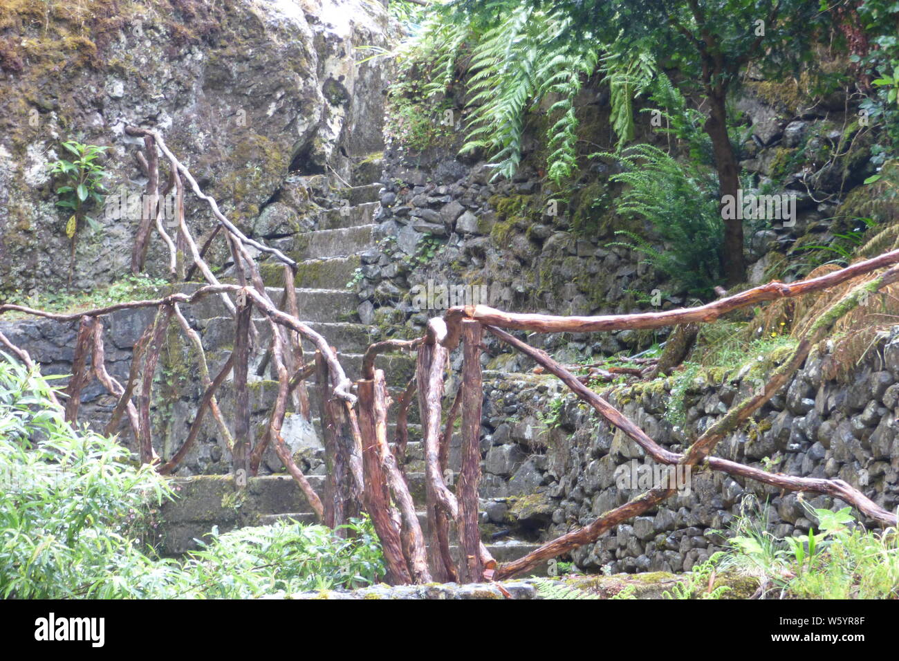 MADEIRA SUMMER 2019 Stock Photo - Alamy
