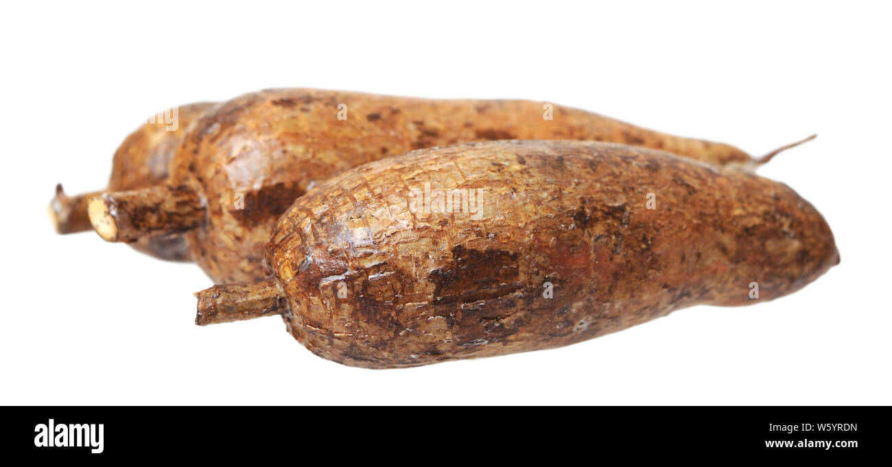three yuca roots isolated on white background Stock Photo - Alamy