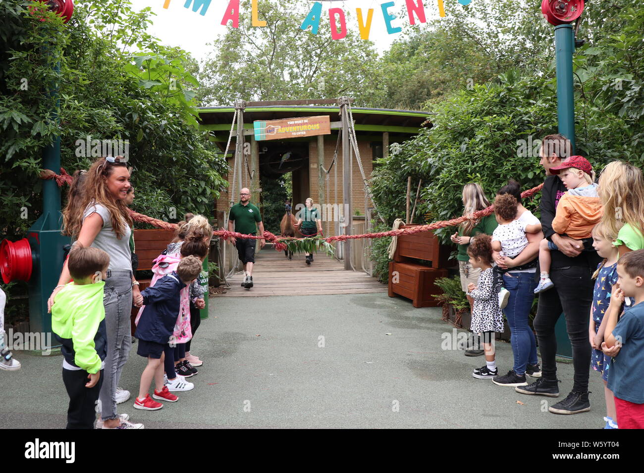 Zookeepers crafted the unique edible braid woven from Ande's favorite ...