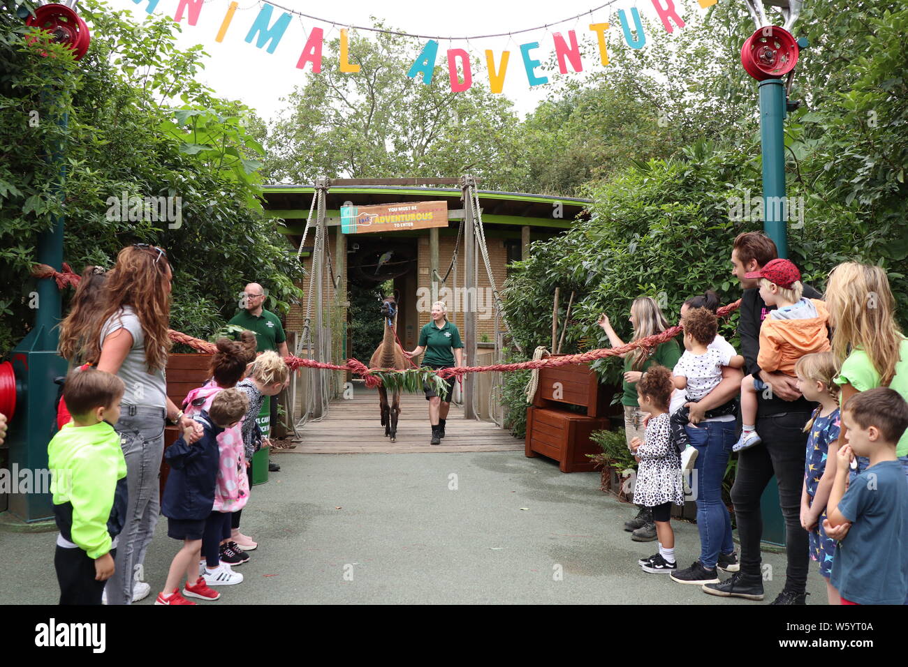Zookeepers crafted the unique edible braid woven from Ande's favorite ...