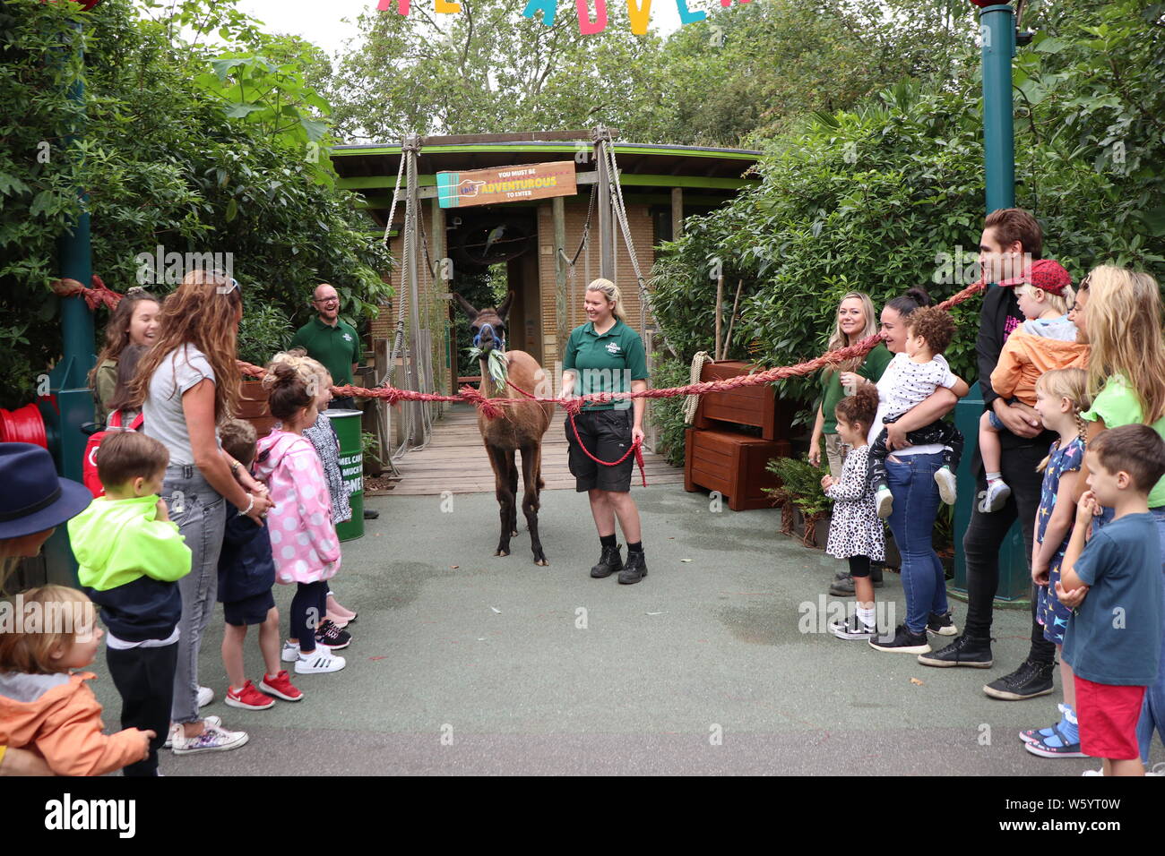 Zookeepers crafted the unique edible braid woven from Ande's favorite ...