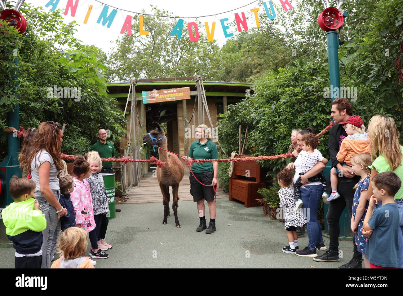 Zookeepers crafted the unique edible braid woven from Ande's favorite ...