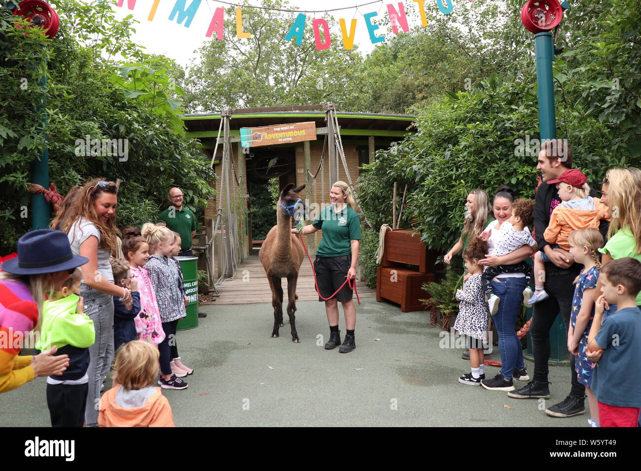 Zookeepers crafted the unique edible braid woven from Ande's favorite ...