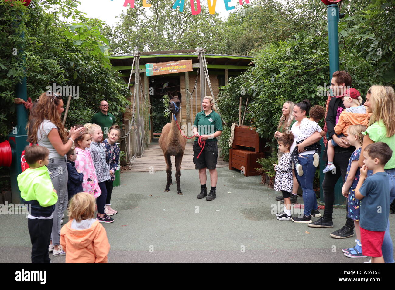 Zookeepers crafted the unique edible braid woven from Ande's favorite ...