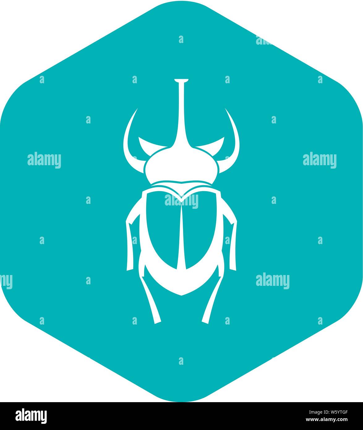 Weevil coleoptera nature Stock Vector Images - Alamy