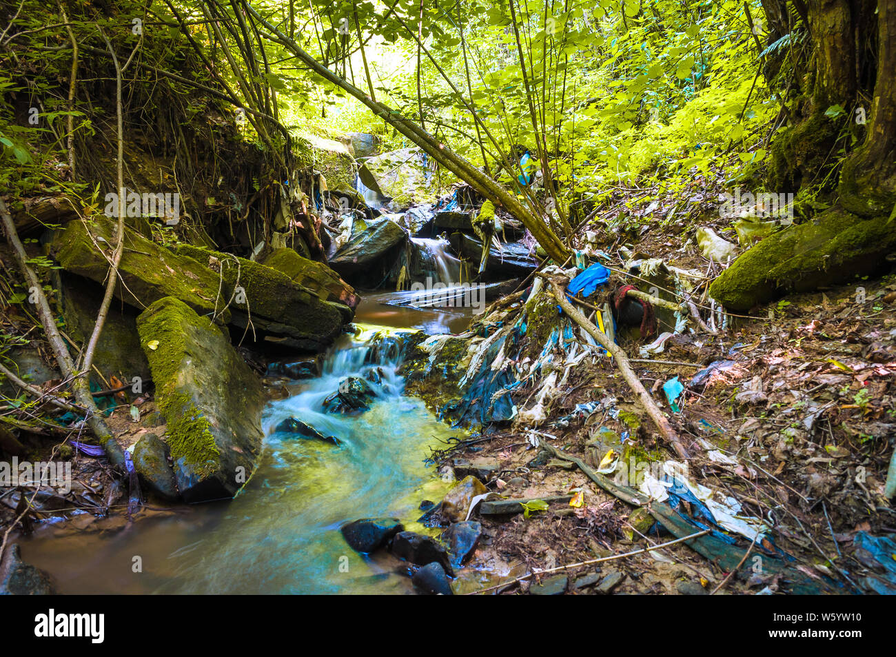 Beautiful forest stream highly polluted with waste Stock Photo - Alamy