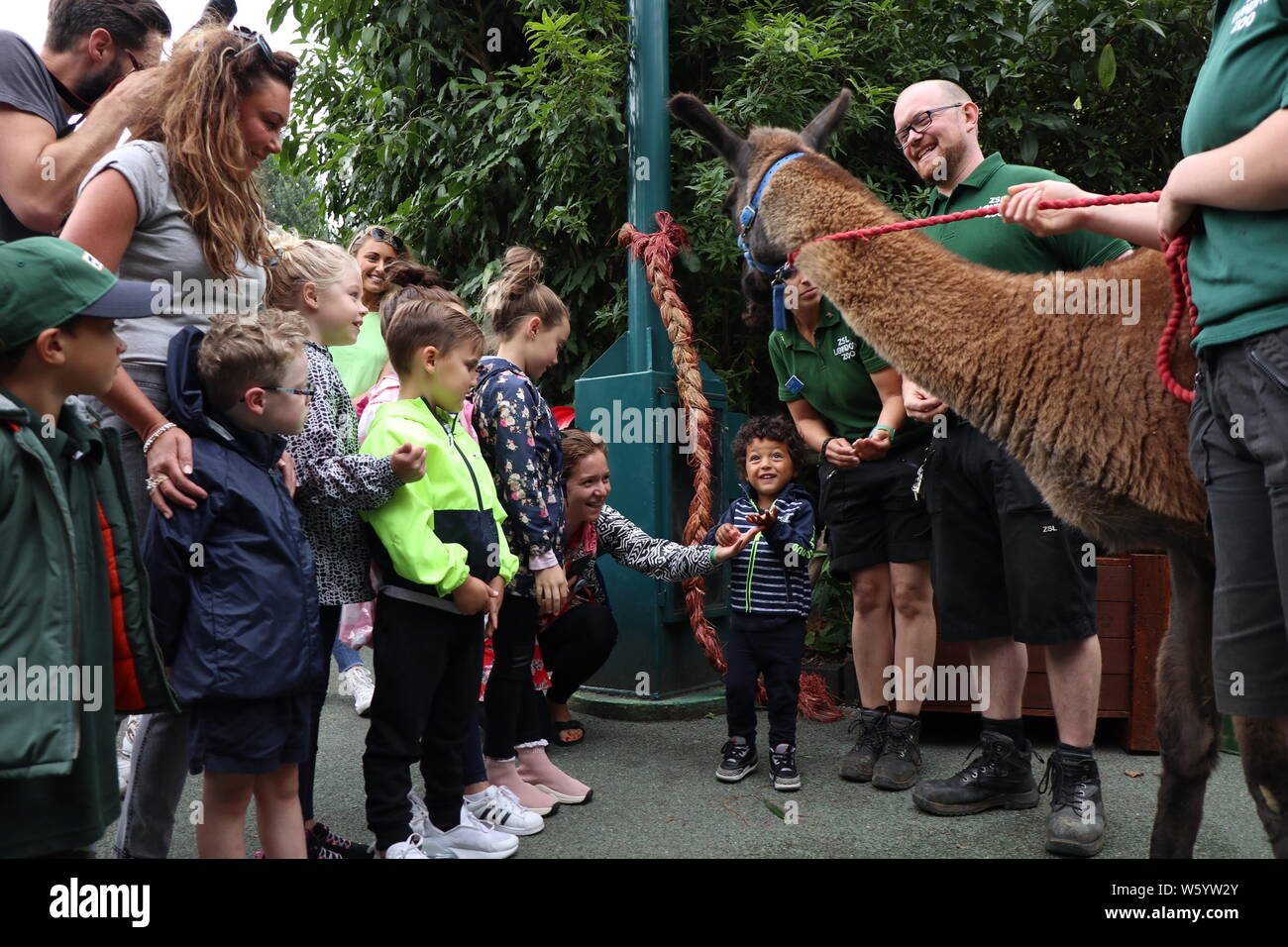 Zookeepers crafted the unique edible braid woven from Ande's favorite ...