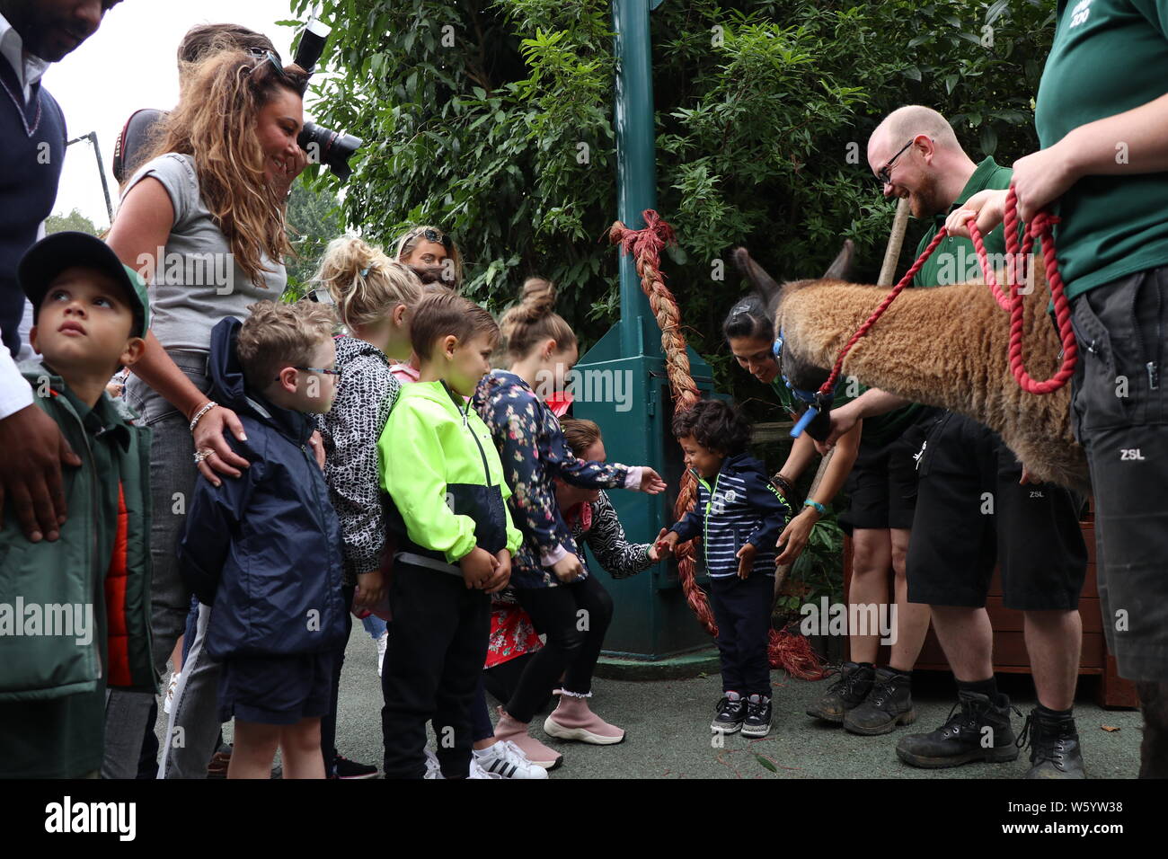 Zookeepers crafted the unique edible braid woven from Ande's favorite ...