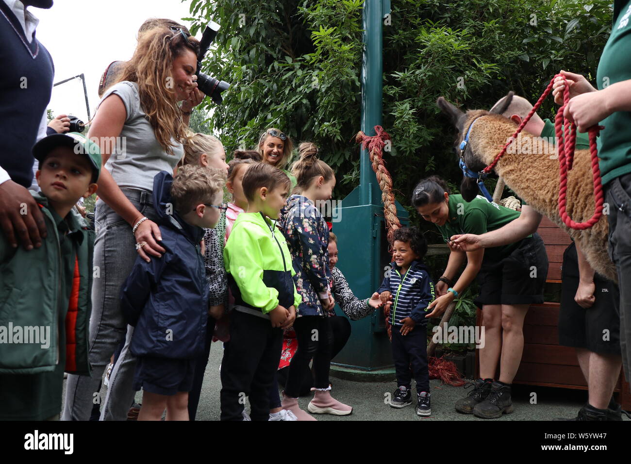 Zookeepers crafted the unique edible braid woven from Ande's favorite ...