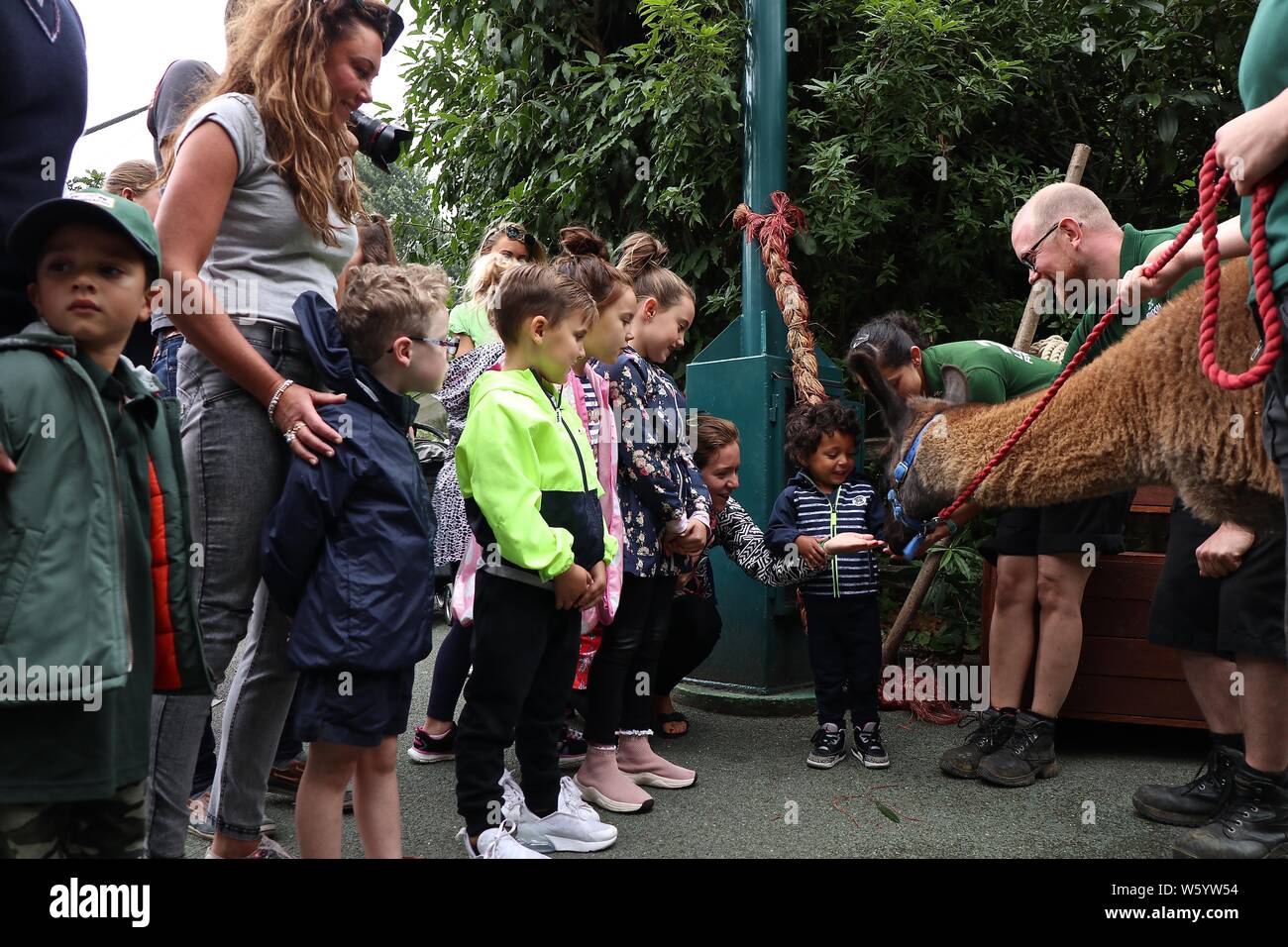 Zookeepers crafted the unique edible braid woven from Ande's favorite ...