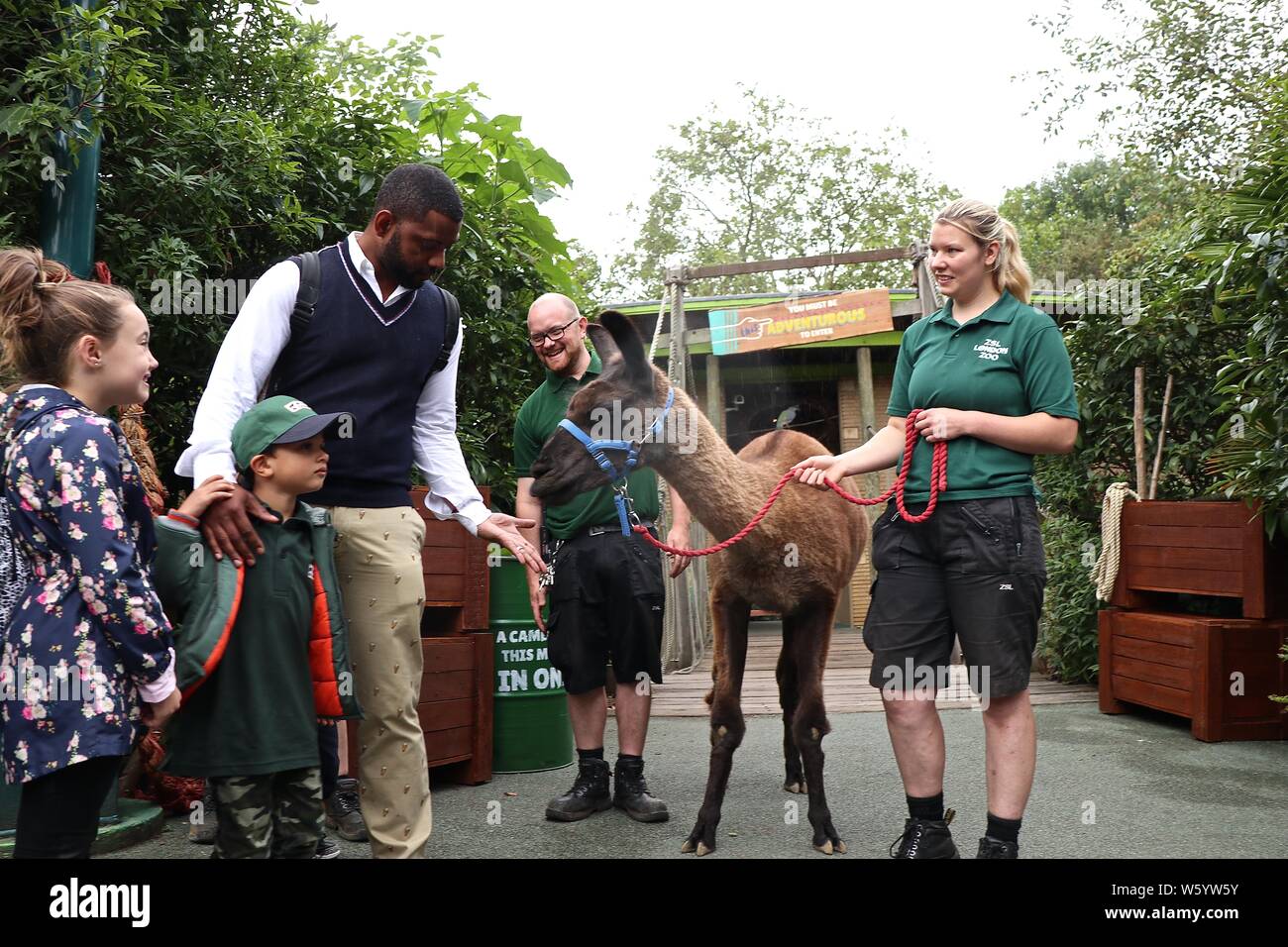 Zookeepers crafted the unique edible braid woven from Ande's favorite ...