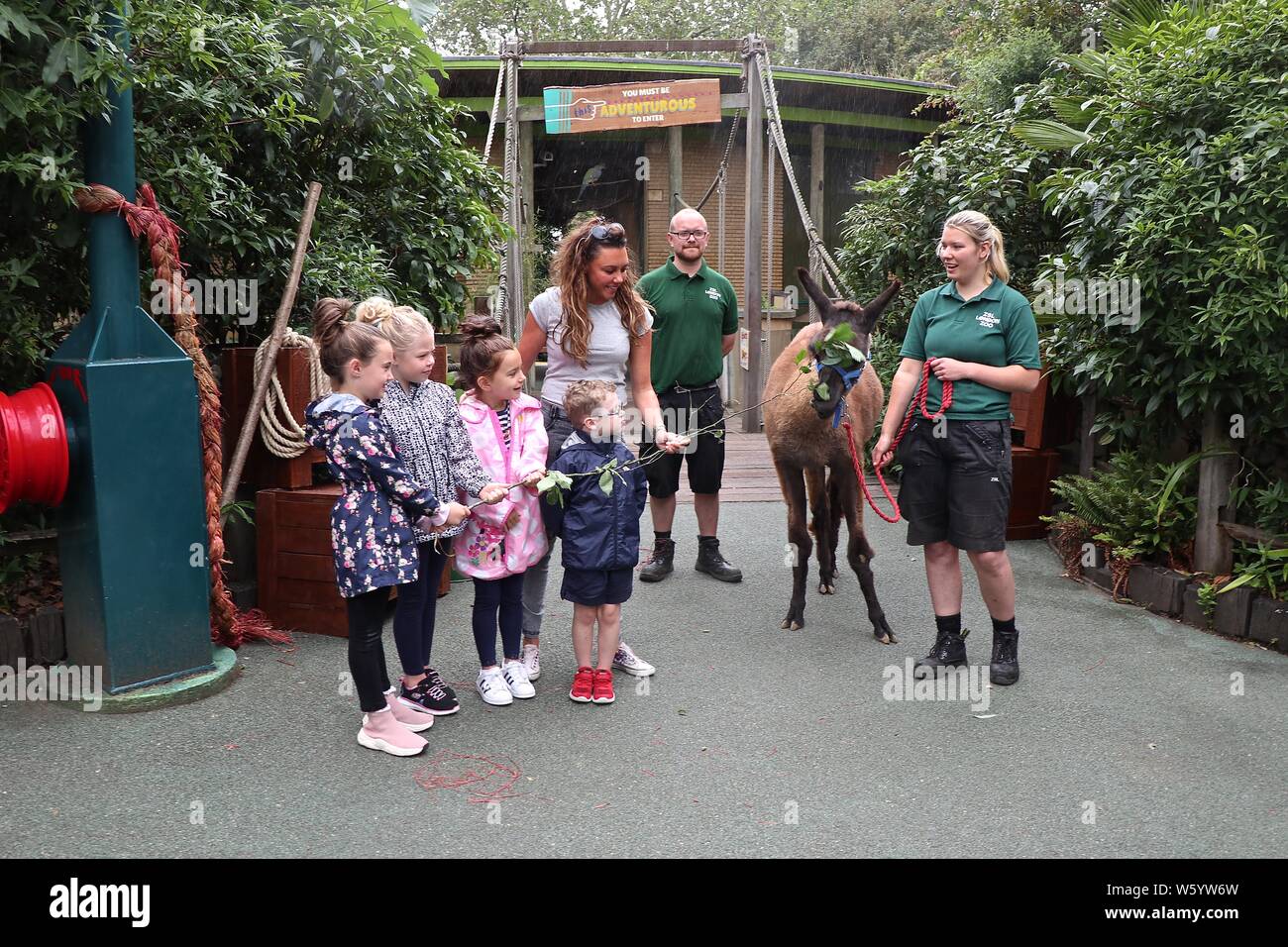 Zookeepers crafted the unique edible braid woven from Ande's favorite ...