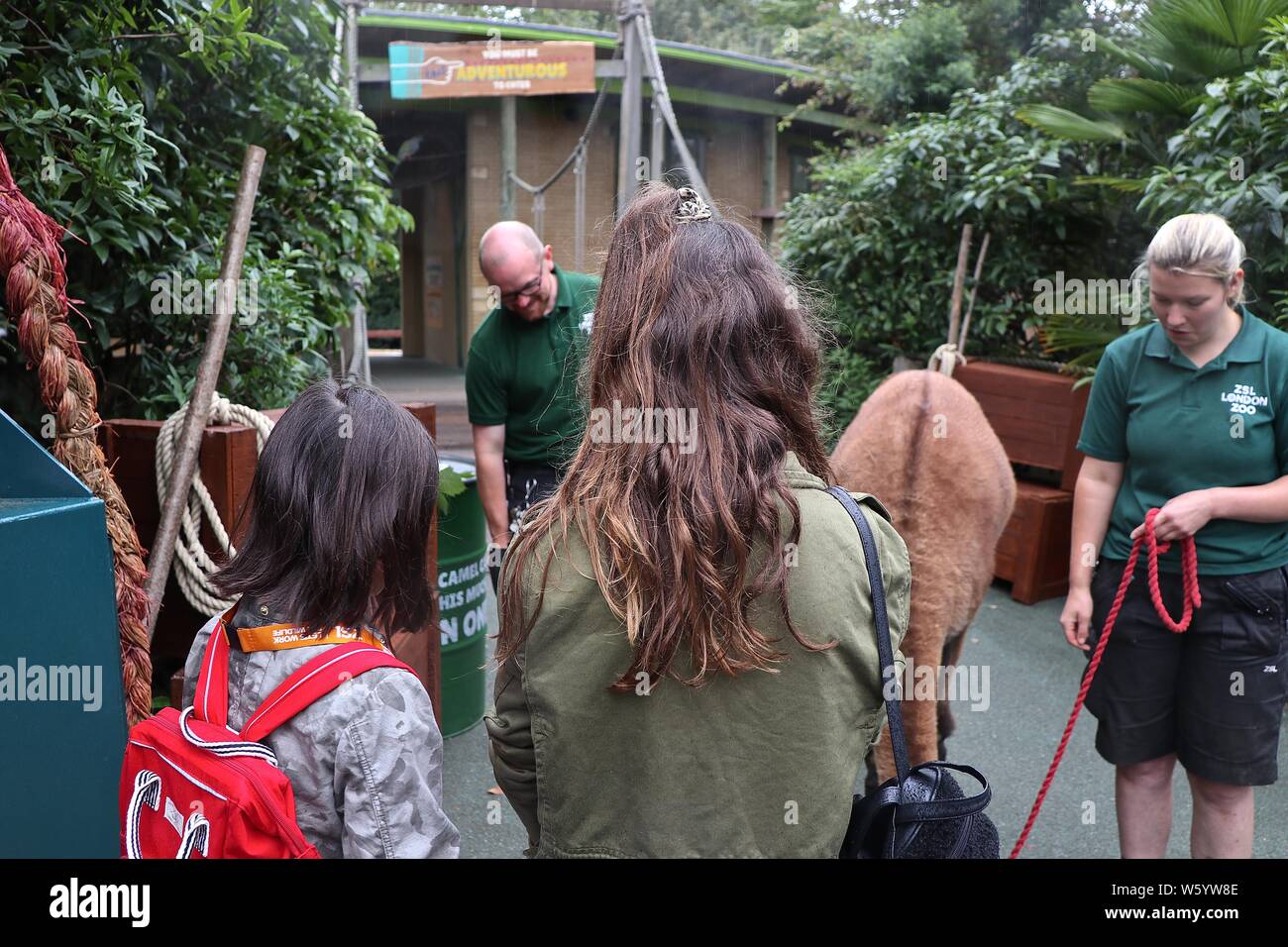 Zookeepers crafted the unique edible braid woven from Ande's favorite ...