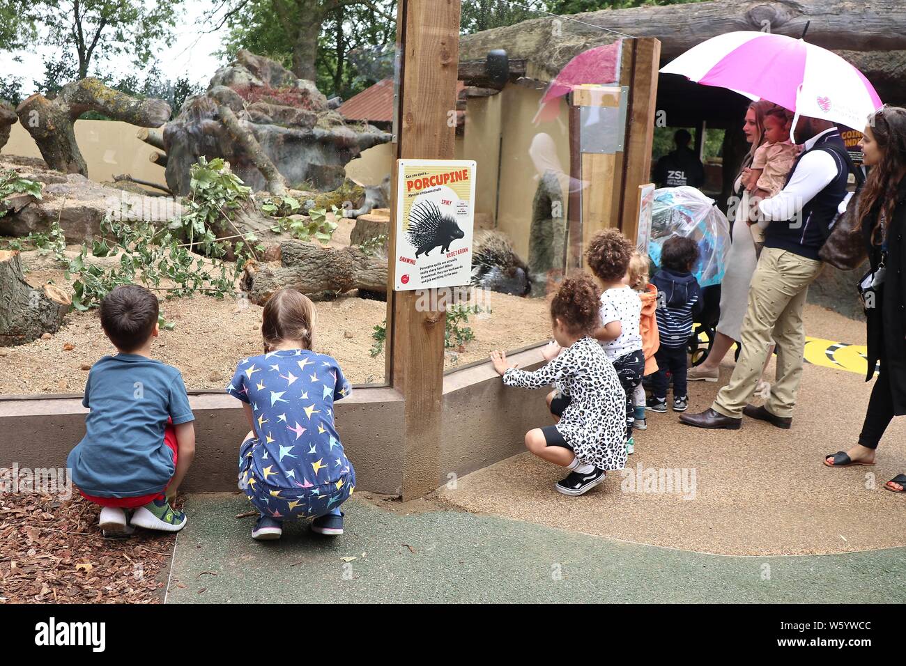 Zookeepers crafted the unique edible braid woven from Ande's favorite ...