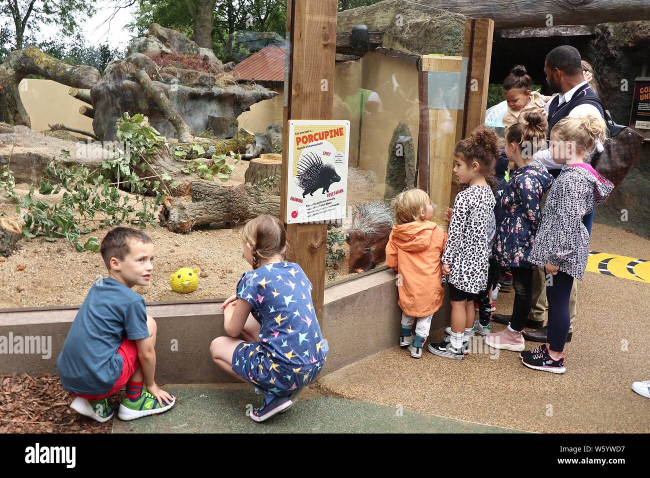 Zookeepers crafted the unique edible braid woven from Ande's favorite ...