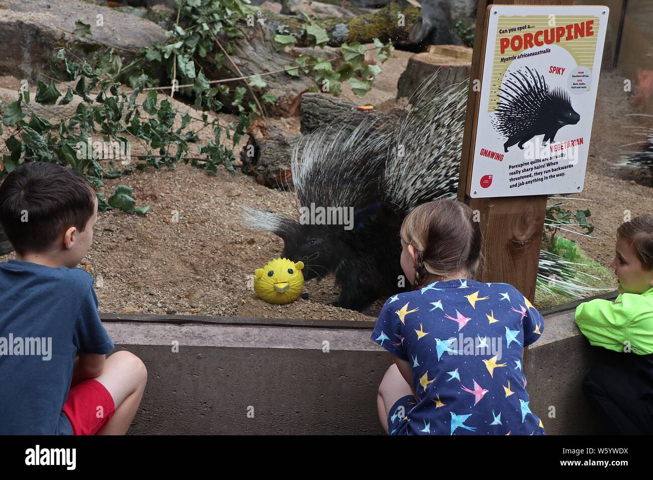 Zookeepers crafted the unique edible braid woven from Ande's favorite ...