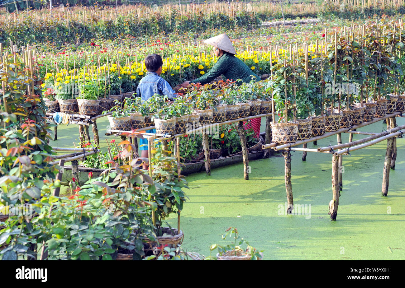 flowers boats on river at floating market place Stock Photo - Alamy