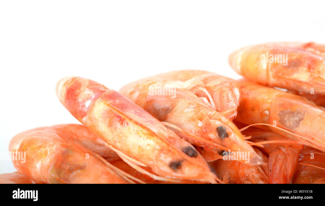 a group Shrimp with tails on white background Stock Photo - Alamy