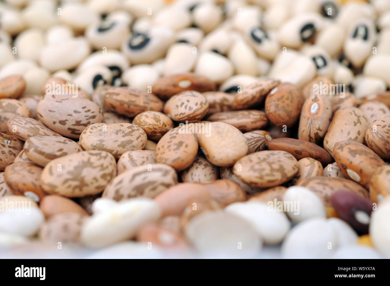 mix bean focus on roman bean for background use Stock Photo - Alamy