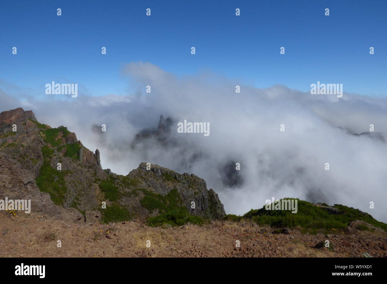 MADEIRA SUMMER 2019 Stock Photo - Alamy