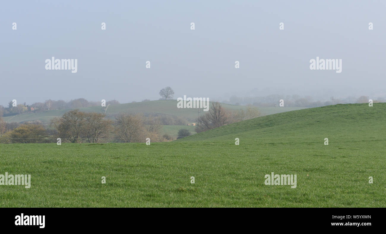 A misty early spring morning on the Isle of Oxney. The Isle of Oxney is ...