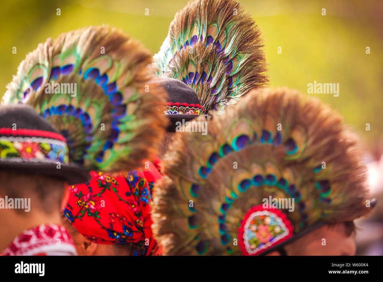 Romanian traditional peacock feather hat Stock Photo - Alamy