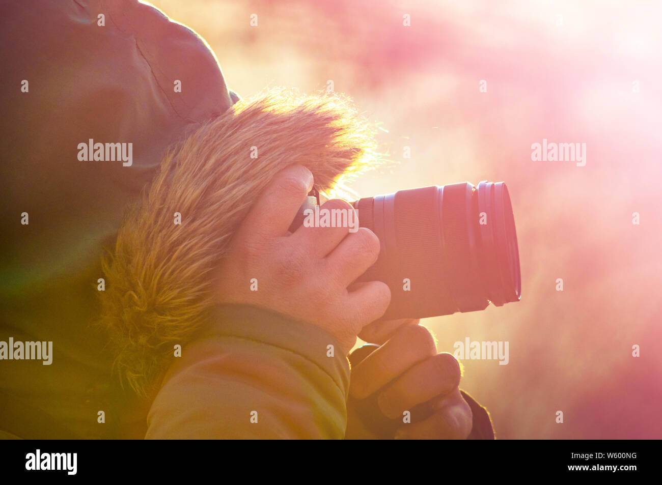 Photographer looking through the viewfinder Stock Photo - Alamy