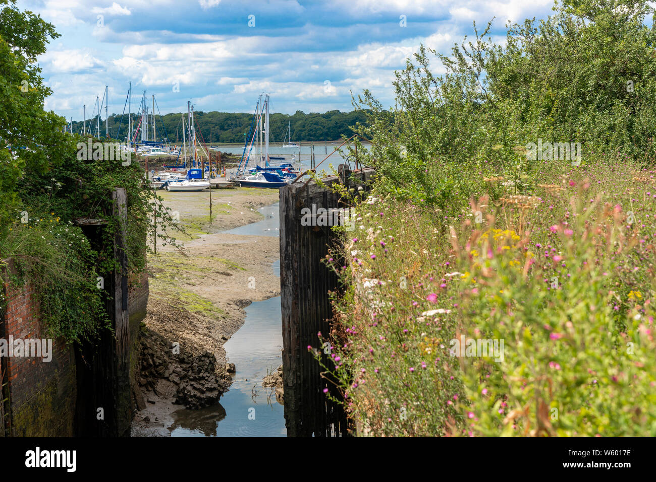Chichester Canal Lock Gates in summer looking towards Birdham Pool ...