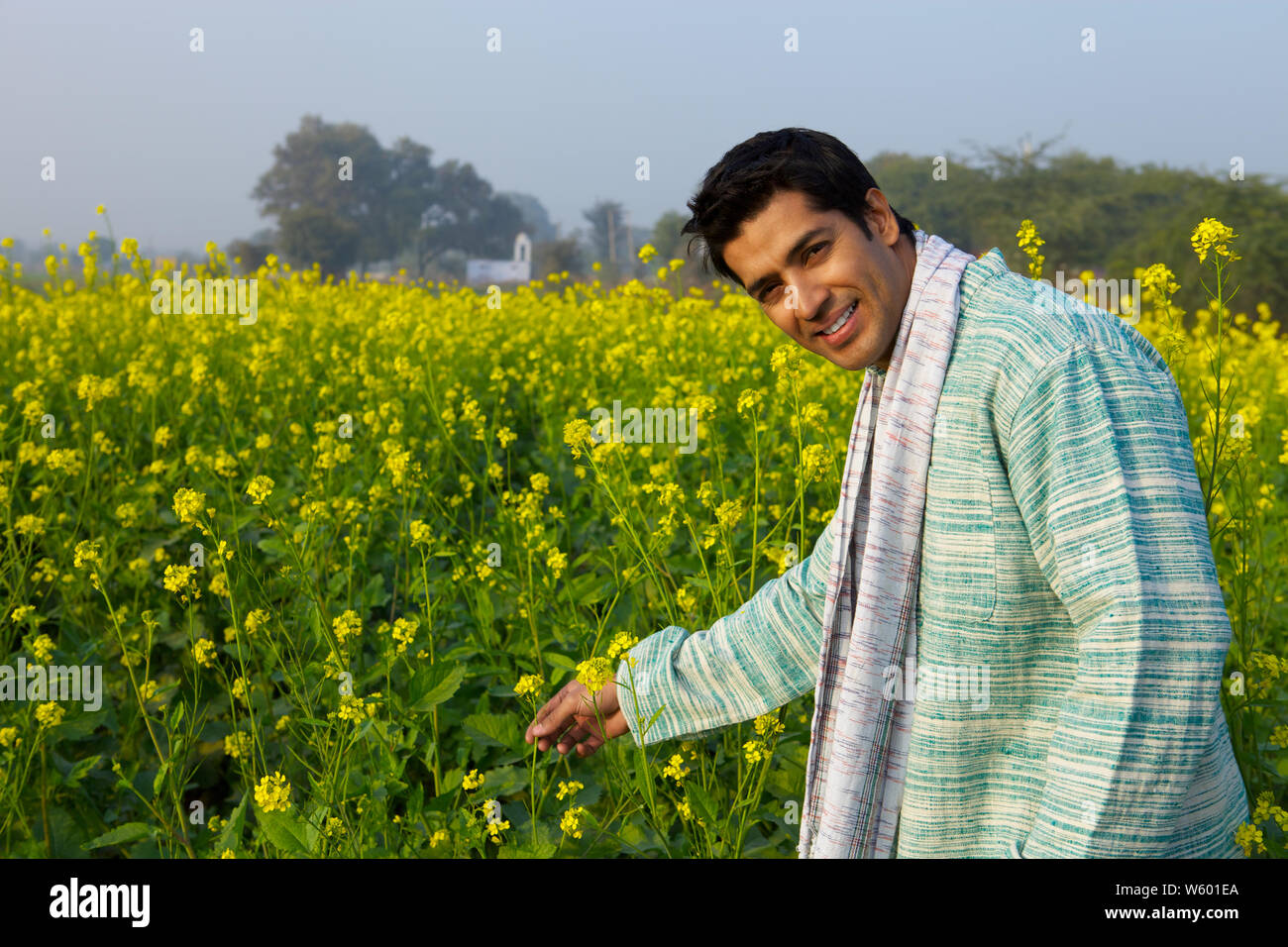 Farmer showing mustard crop in a field Stock Photo - Alamy