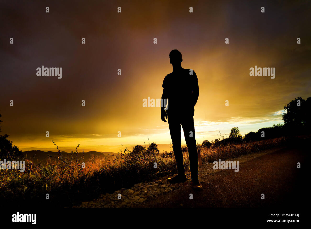 Man silhouette in golden hour light Stock Photo - Alamy