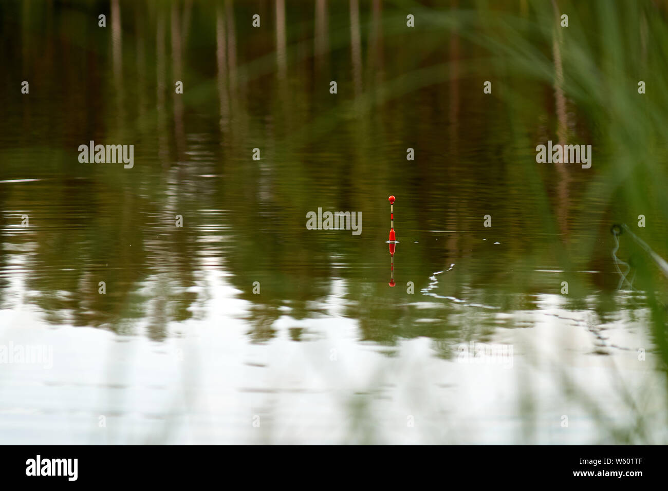 fishing on a float in the summer evening. lake, reflection of the ...