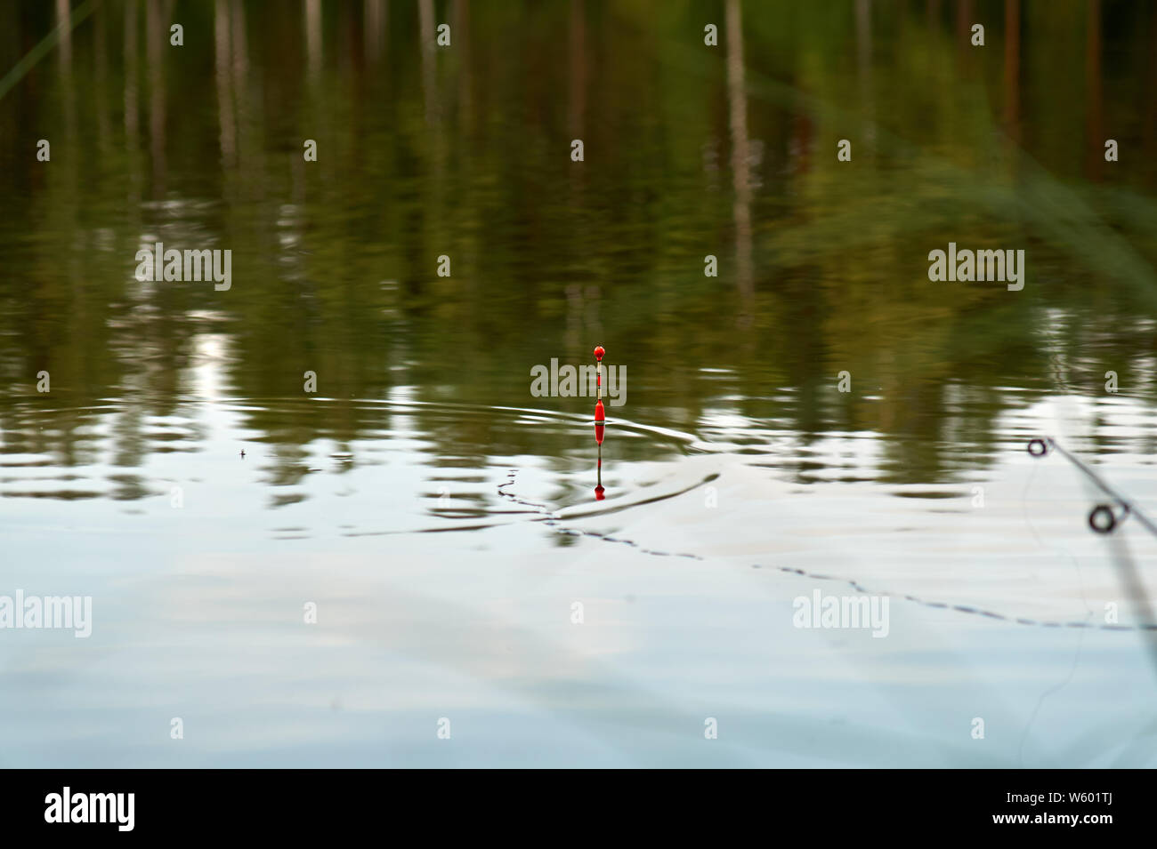fishing on a float in the summer evening. lake, reflection of the ...