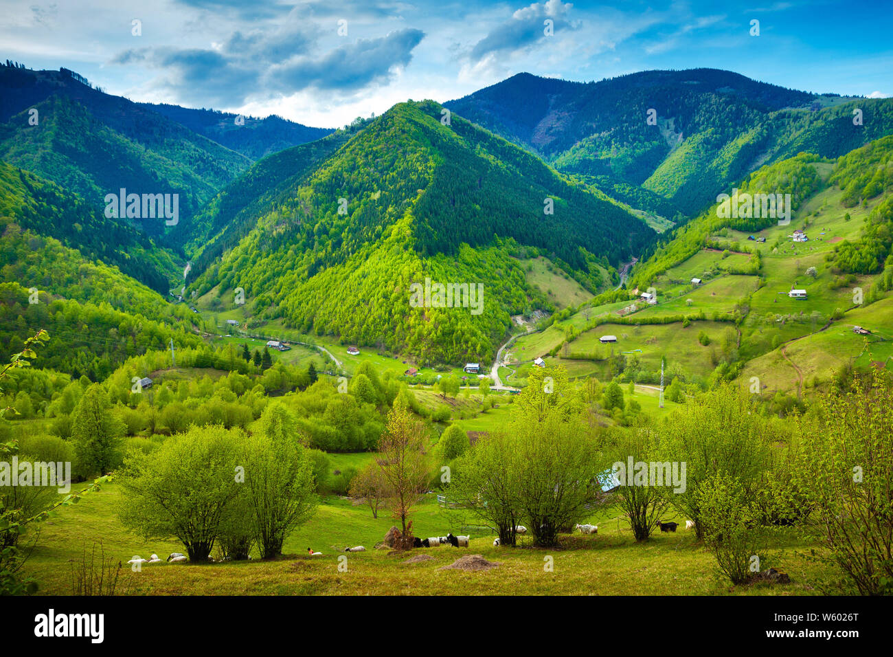 Beautiful simple landscape in rural Romania Stock Photo - Alamy