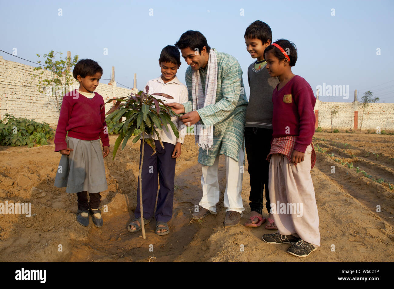 Students with teacher examining a tree Stock Photo - Alamy