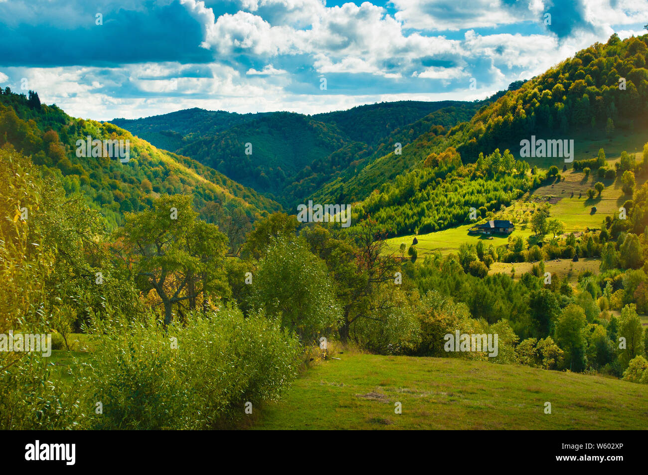 Simple rural landscape on the hills in Romania Stock Photo - Alamy
