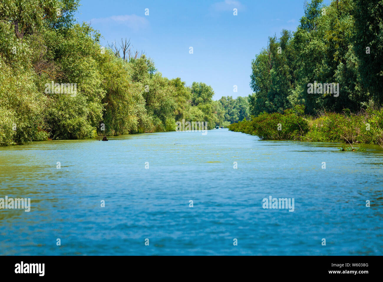 Danube delta landscape in Romania Stock Photo - Alamy