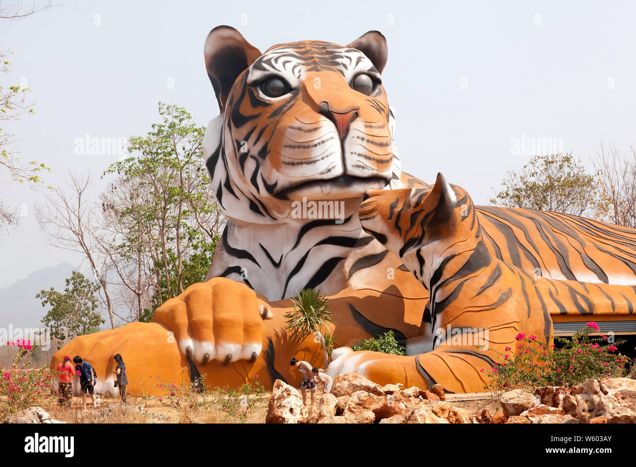 Buddhist and Tourist interacting with Tigers at the Tiger Temple in ...