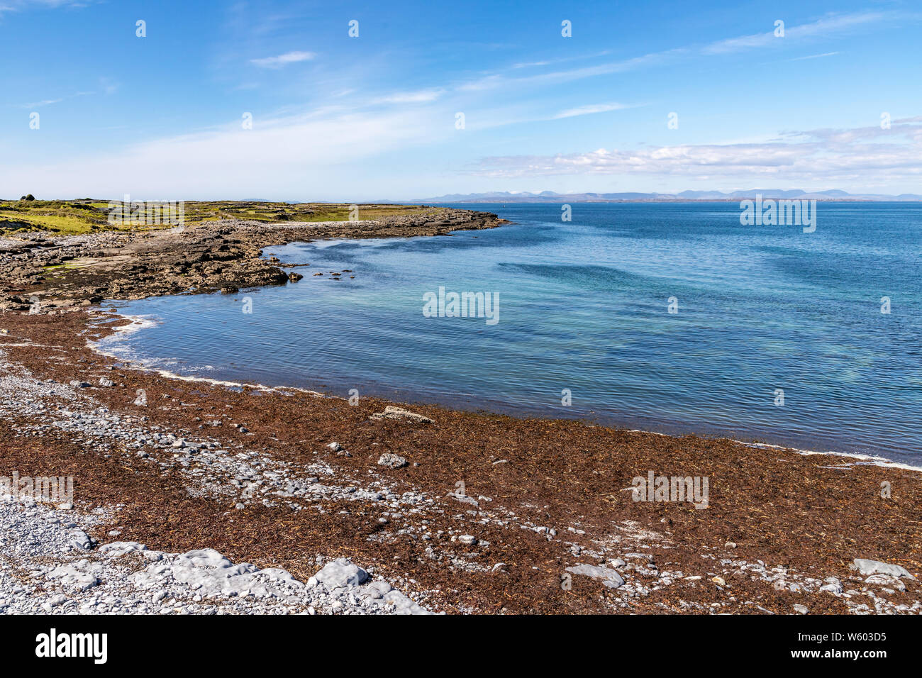 Seaweed and rocks in beach in Inishmore, Aran Islands, Ireland Stock ...