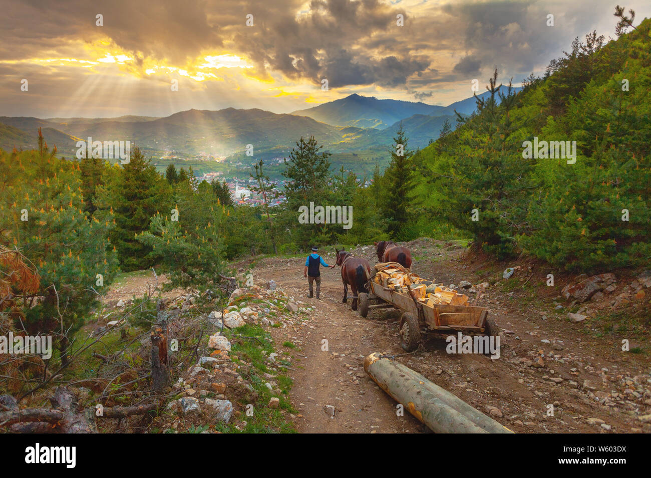 Logger descending towards town carying wood epic landscape Stock Photo ...